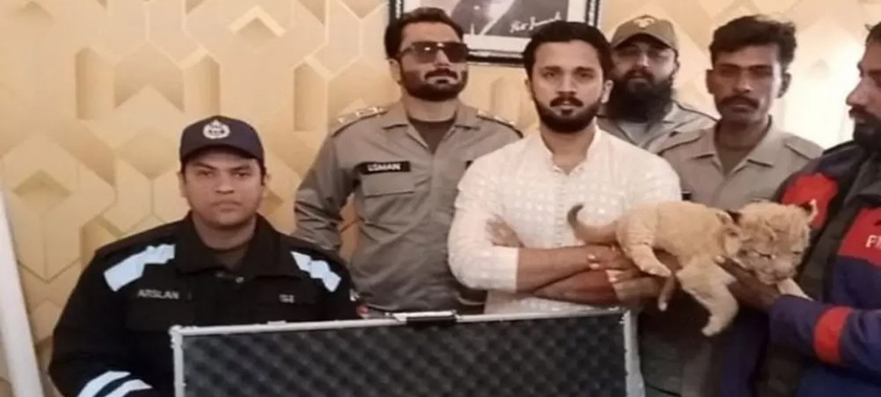 Youtuber Rajab Butt Sentenced To Community Service For Keeping Lion Cub ...