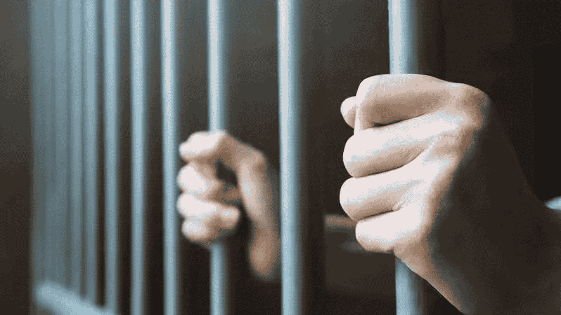 Punjab Prisons Department Launches Virtual Meeting App