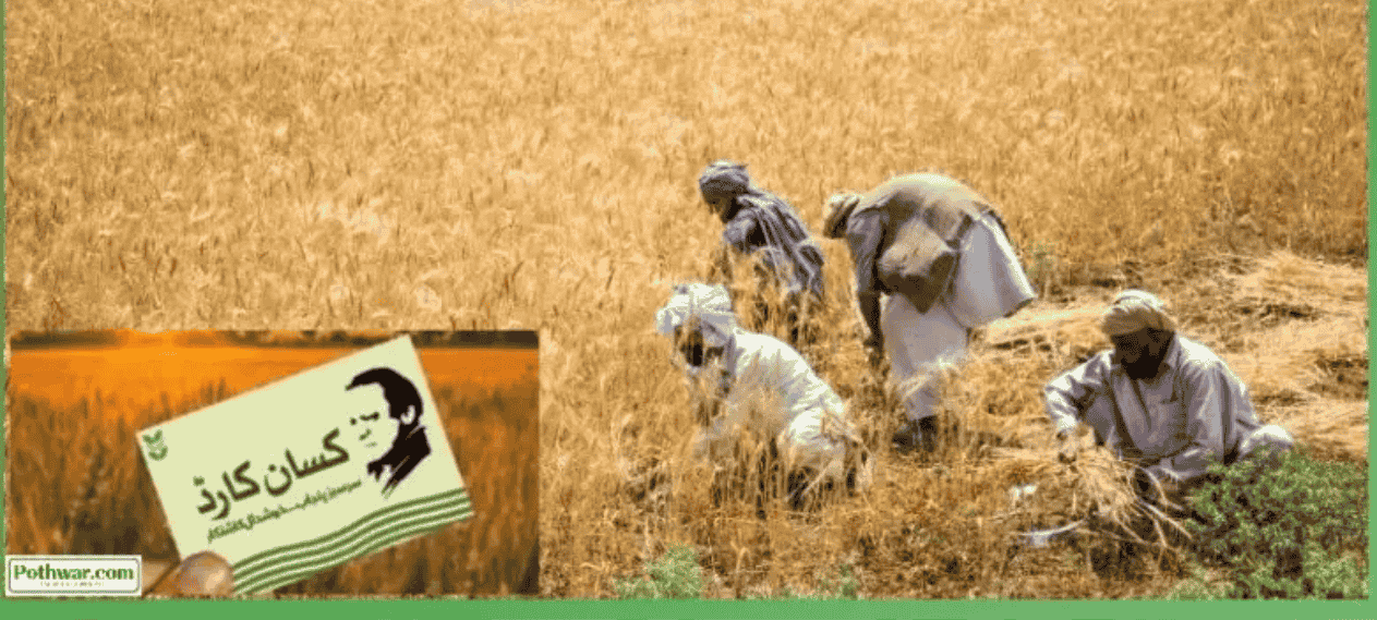 Punjab Agriculture Issues New Guidelines For Kisan Card
