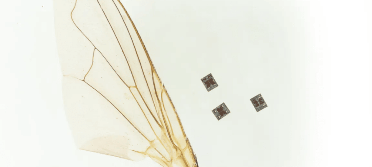 Grain Of Salt-Sized Robot Marks Robotics Breakthrough